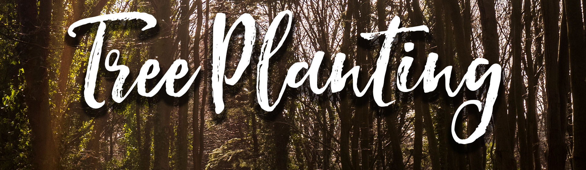 The Alnwick Garden Tree Planting Week - The Alnwick Garden