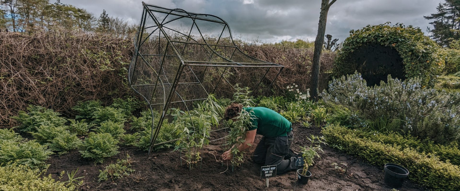 The Alnwick Garden Coming of Cage: The Poison Garden Plants Return ...